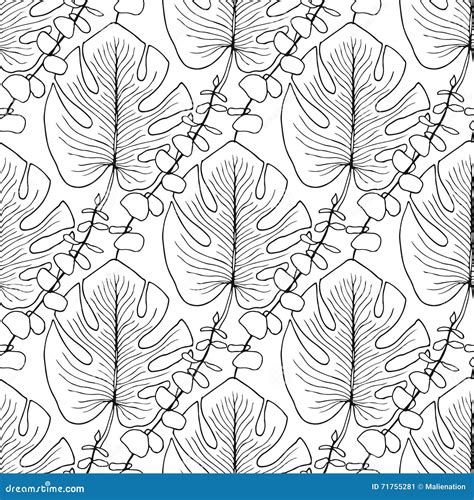 Tropical Leaves Coloring Pages