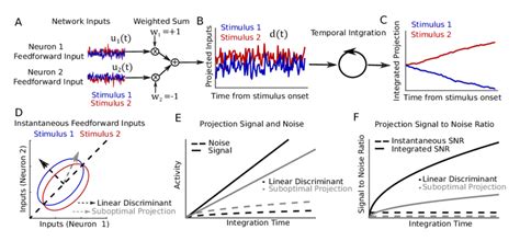 Stimulus Discrimination Performance Depends On Temporal Integration Of