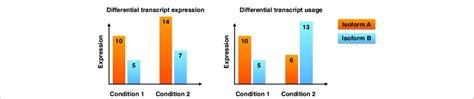 Schematic Illustration Of Differential Transcript Expression Dte And
