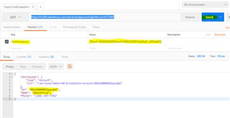 amit salesforce salesforce tutorial test salesforce api by postman