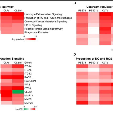 Figure Supplement 2 Identification Of Canonical Pathways And Upstream