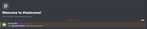 guide to creating a discord bot in javascript with discord js v13