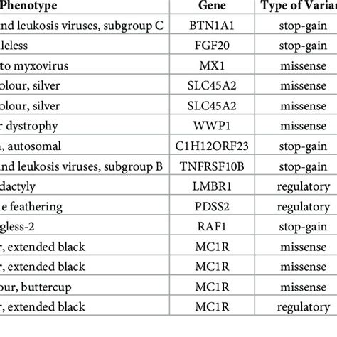 Chcadd Score Distribution Of Snps Per Variant Effect Predictor Vep