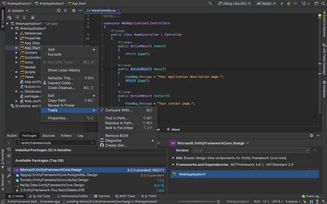 entity framework option not showing up in rider csharp
