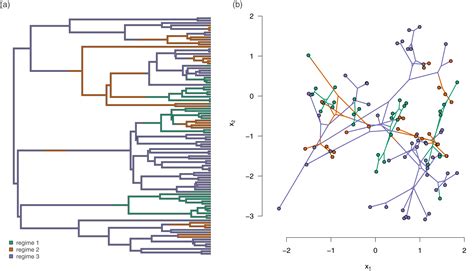 A Simple Hierarchical Model For Heterogeneity In The Evolutionary