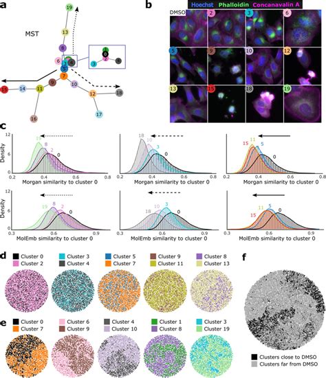 Translation Of Phenotypic Similarity To Generated Chemical Similarity