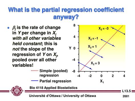 Ppt Lecture 13 Multiple Linear Regression Powerpoint Presentation