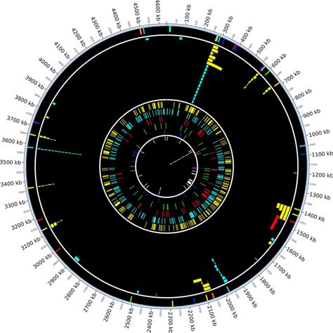 Circos Plot Displaying Large Scale Rearrangements Starting From The