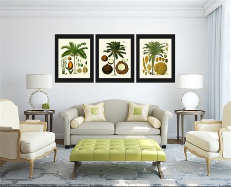 Palm Tree Coconut Tropical Botanical Wall Art Set Of 3 Prints Beautiful