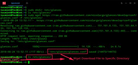 how to download files to specific directory using wget