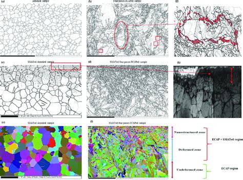 The Ebsd Grain Boundary And Euler Maps Of Ti Samples Showing The