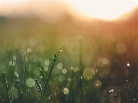 Lawnhd Wallpapers Backgrounds