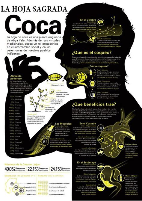 El Jumial La Hoja De Coca Triunfó En El Mundo