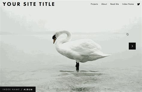 forte template squarespace help center