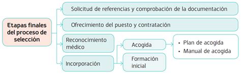 1 Etapas Finales Del Proceso De Selección
