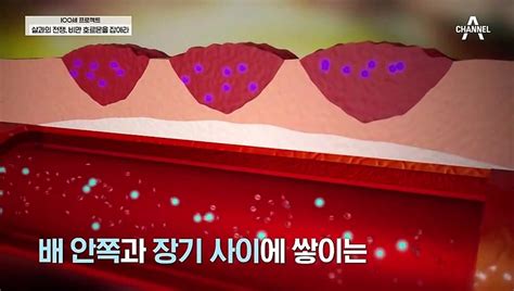 우리나라 성인 10명 중 3명은 비만 비만은 건강에 직접적인 악영향을 끼친다 동영상 Dailymotion