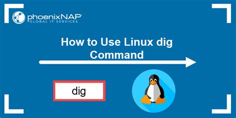 how to use linux dig command dns lookup {with examples}