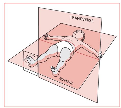 Angular Deformities Of The Lower Extremity Bowlegs And Knock Knees