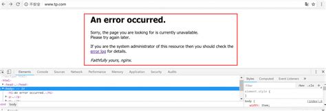 using nginx page to report an error occurred programmerah
