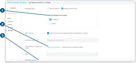 configuring an api endpoint in api manager mulesoft documentation