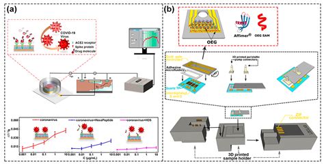 Biosensors Free Full Text Recent Advances In Field Effect
