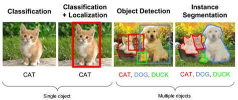 collect and label images to train a yolov5 object detection model in
