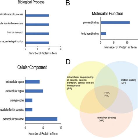 Classification Of Differentially Expressed Proteins Based Upon Their