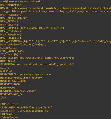 how to list set and manage linux environment variables cherry servers
