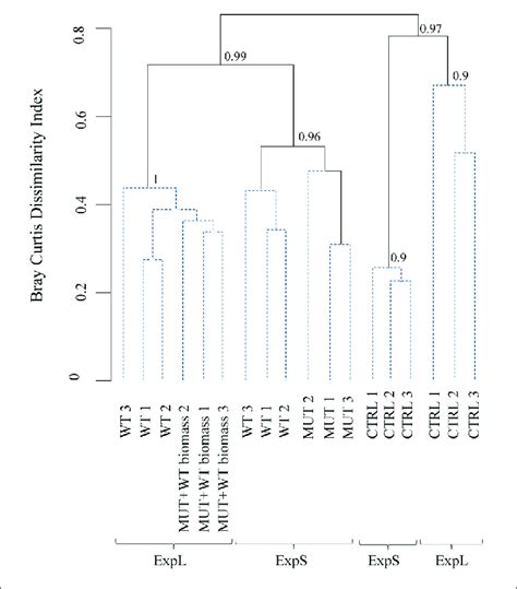 Clustering Of Microbial Communities From Both Experiments According