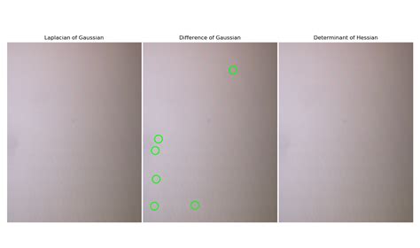 opencv blob detection in python stack overflow