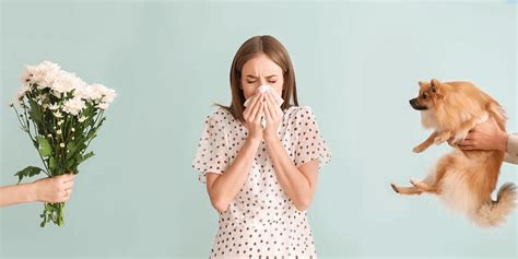 indoor vs outdoor allergies top tips for managing symptoms