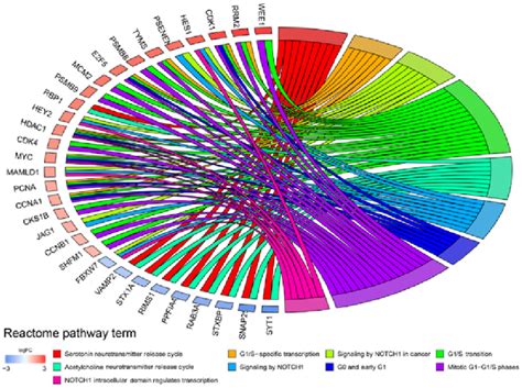 Significantly Enriched Reactome Pathway Analysis Of Differentially