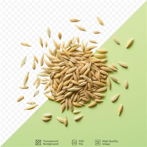 Premium Psd Bird S Eye View Of Seed Paddy