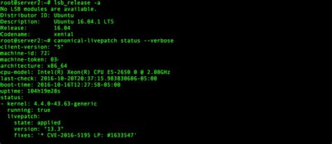 you can now live patch ubuntu linux kernel without rebooting the box