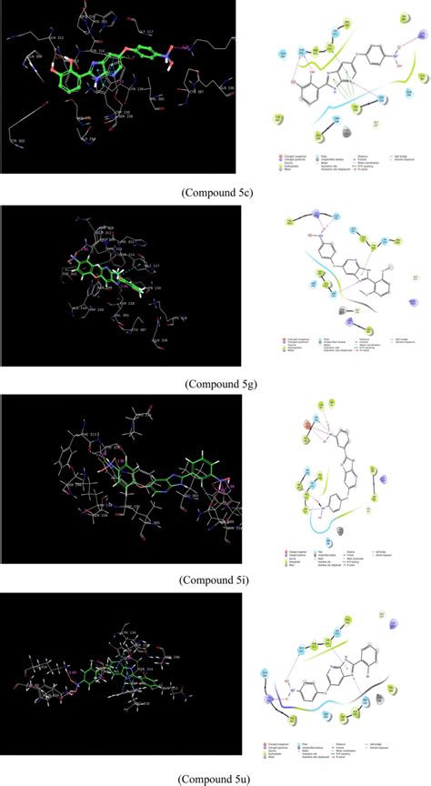 Binding Model Of Compounds 5c 5g 5i And 5u With Dpre1 Target Cavity