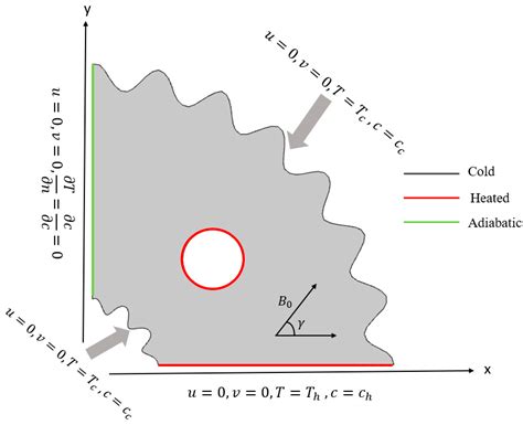 Micromachines Free Full Text Convective Heat And Mass Transport In