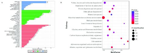 Bar Graph Of Gene Ontology Go Classification And Bubble Chart Of