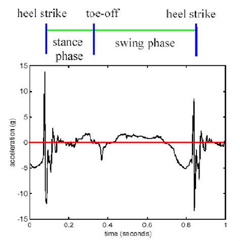 4 Gait Events In Accelerometer Signal Of A Commercially Available