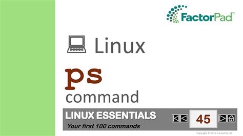 linux ps command summary with examples youtube