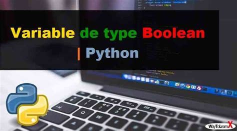 variable de type boolean python waytolearnx