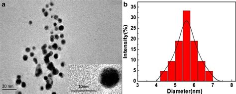 A Tem Image And B Particle Size Distribution Histogram Of Au Ag Nps In