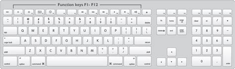 how to use mac function keys with excel exceljet