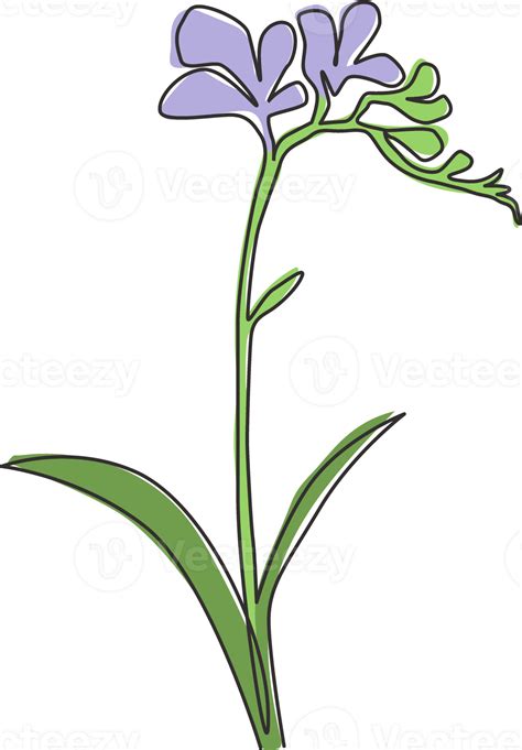 One Continuous Line Drawing Of Beauty Fresh Freesia For Home Wall Decor