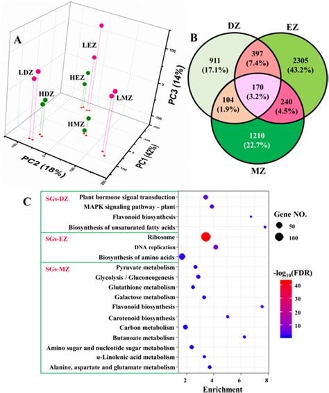 Figure 1 From Comparative Transcriptome Analysis Reveals Common And