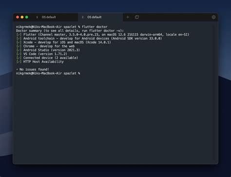dart error formatexception unexpected extension byte at offset 0