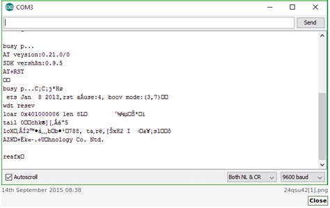 esp8266 responds with meaning less characters to at