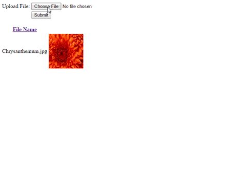 upload multiple files in mvc razor using jquery aspmantra asp