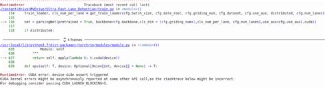 runtimeerror cuda error device side assert triggered · issue 242