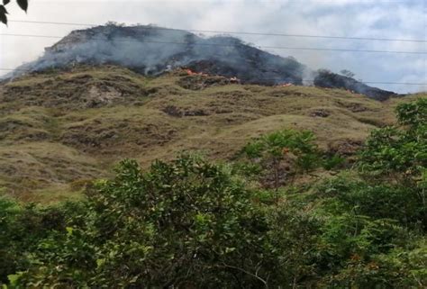 Noticia Tolima Dos Días Lleva Incendio En Prado Alerta Tolima