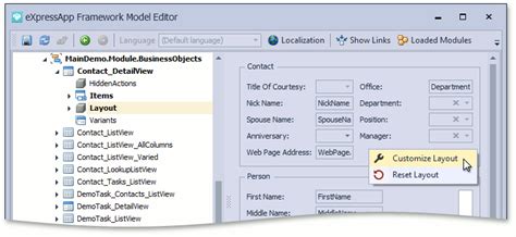 allow an administrator to create custom persistent fields in an xpo